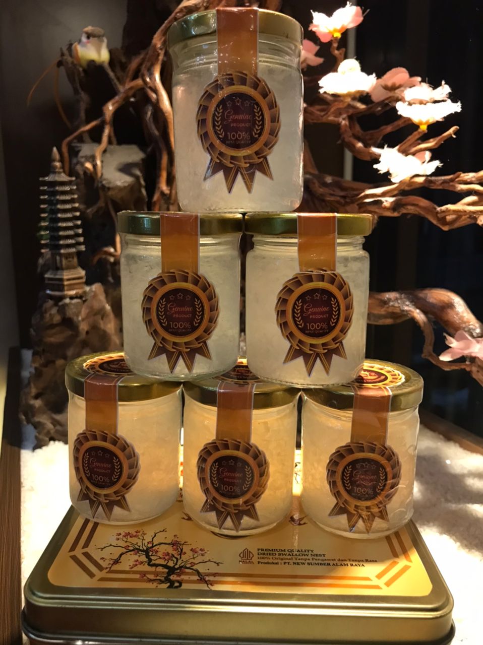 Sarang Burung Walet - Walet Emas Nusantara | Lazada Indonesia
