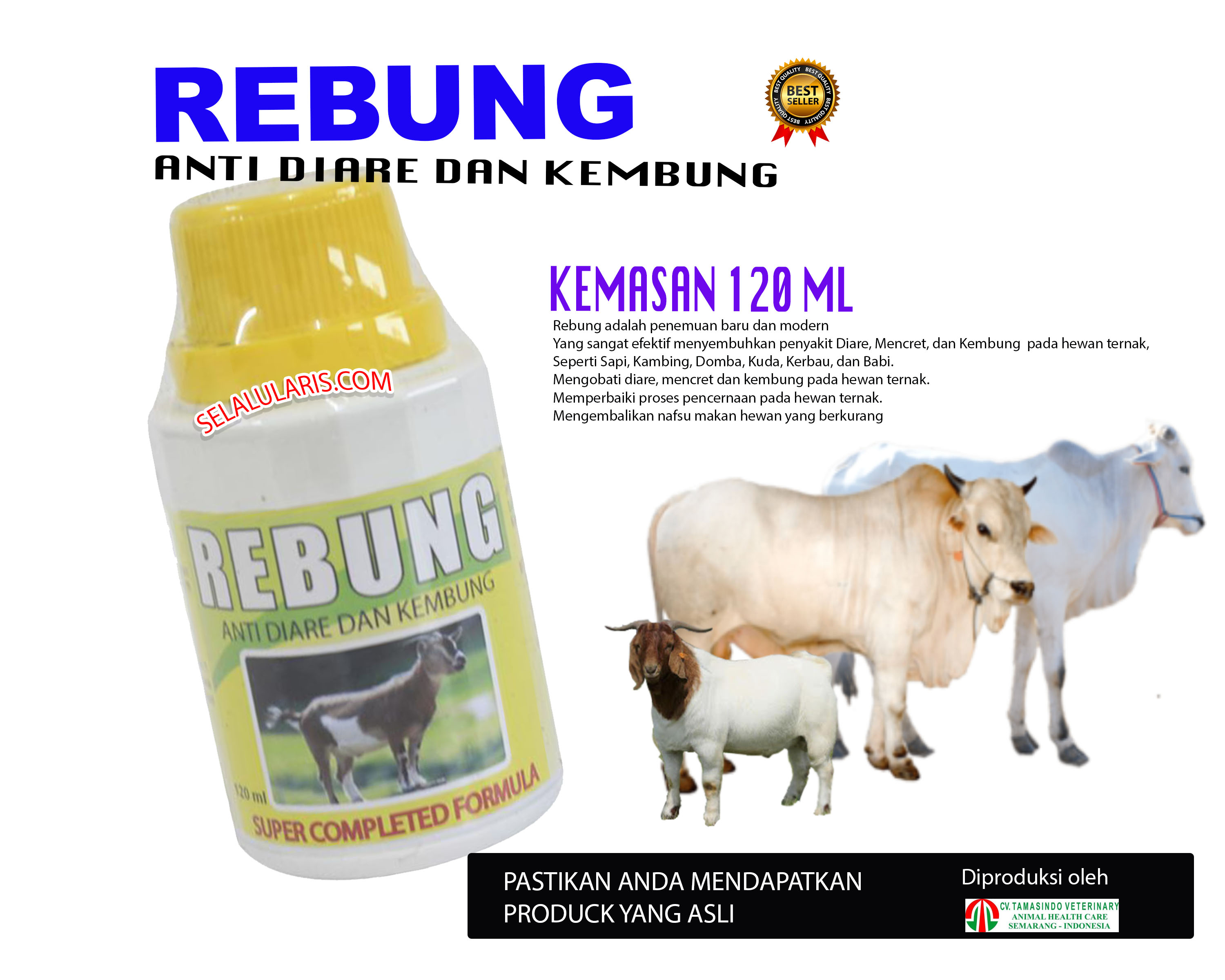 REBUNG-OBAT MENCRET KAMBING-OBAT MENCRET SAPI-OBAT DIARE-SAPI-DOMBA ...