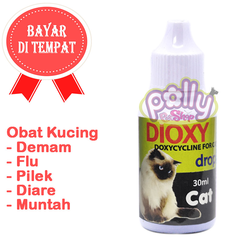 Obat Antibiotik Anak Kucing Kitten Sakit Demam Flu Pilek Diare Muntah ...