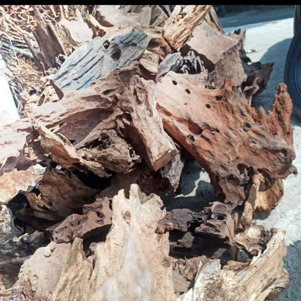 Kayu Rentek Aquascape Hardscape Aquascape Kayu Rentek | Lazada Indonesia