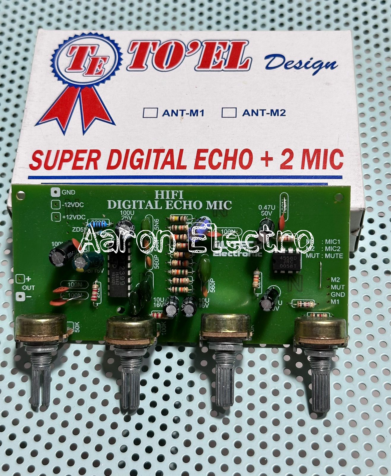 TOEL Kit Super Digital Echo TOEL 2 Mic TO’EL Digital Ekho | Lazada ...