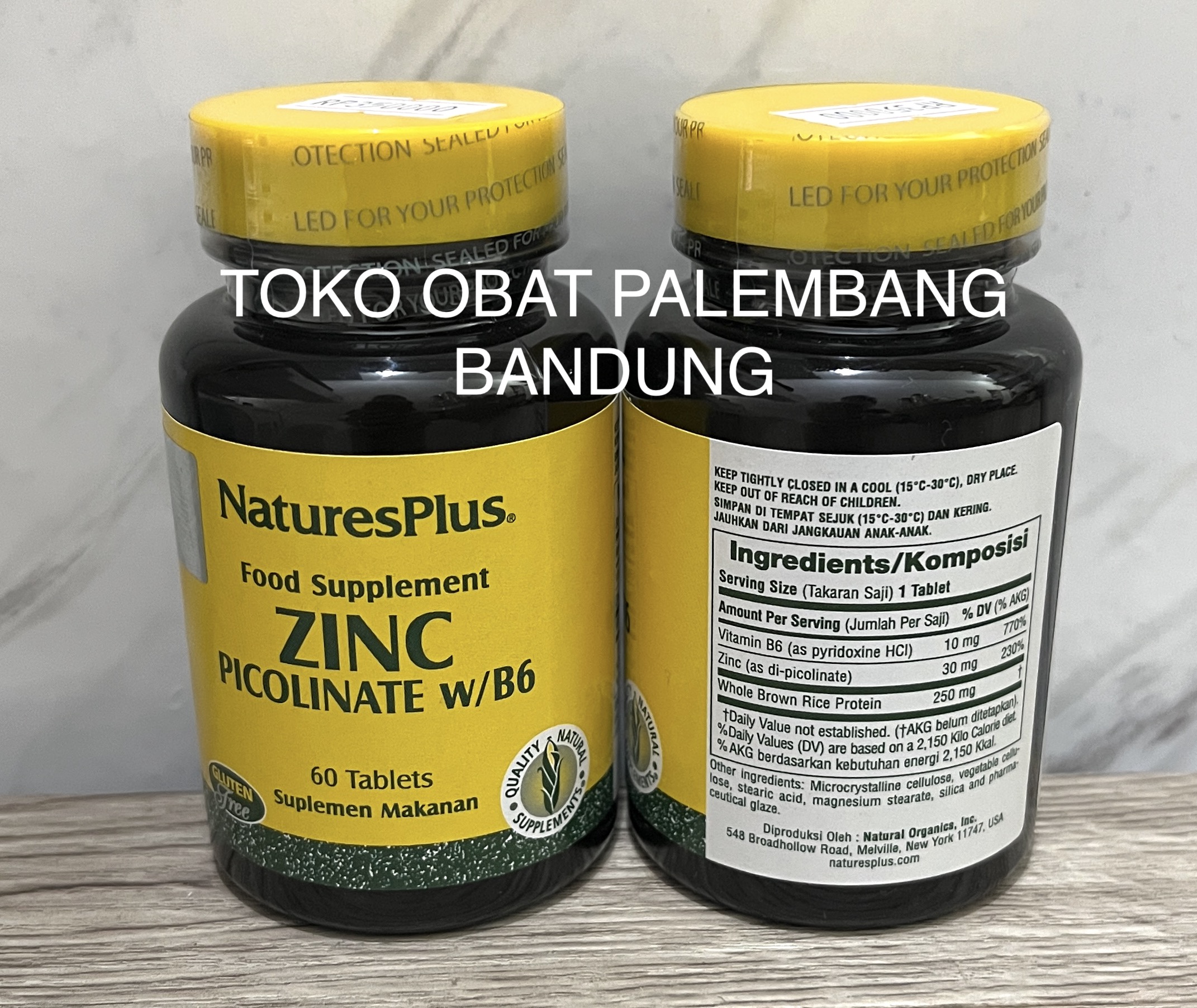 NATURES PLUS ZINC PICOLINATE W/B6 60 TABLET NATURE PLUS ZINC WITH B6 | Lazada Indonesia