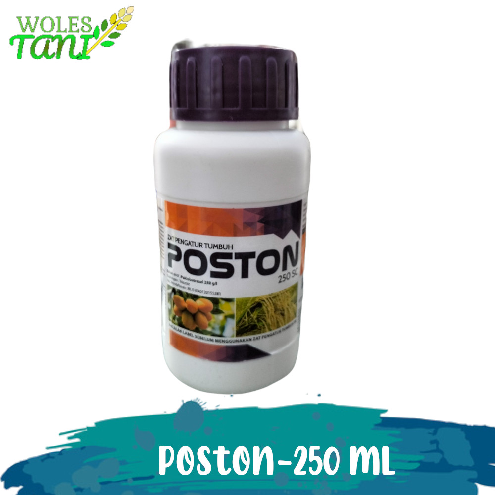 Pupuk Poston 250 ml Paclobutrazol ZPT Buah | Lazada Indonesia