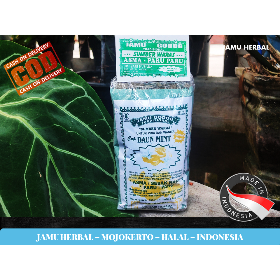 JAMU GODOG TRADISIONAL AMPUH MENGOBATI SESAK NAFAS DAN ASMA -- JAMU ...