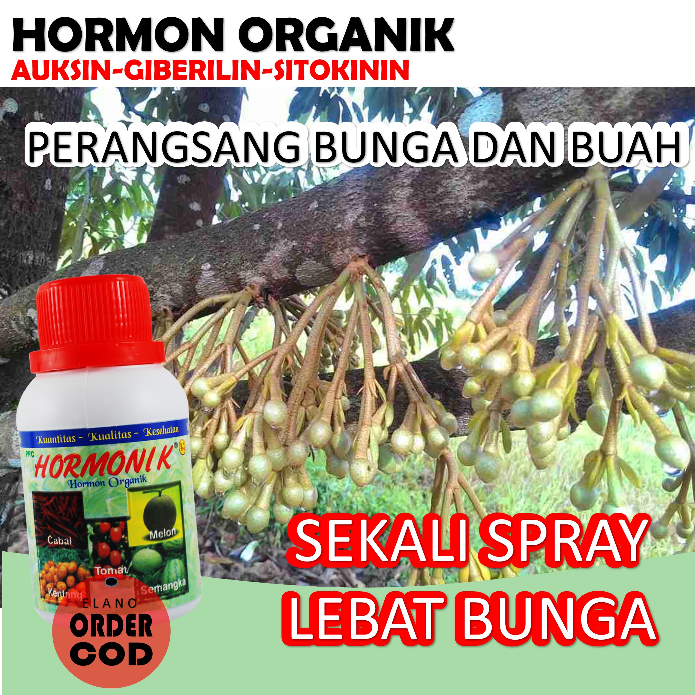 Pupuk Untuk Akar Batang Dan Daun / Pupuk Pelebat Daun Dan Akar / Pupuk ...