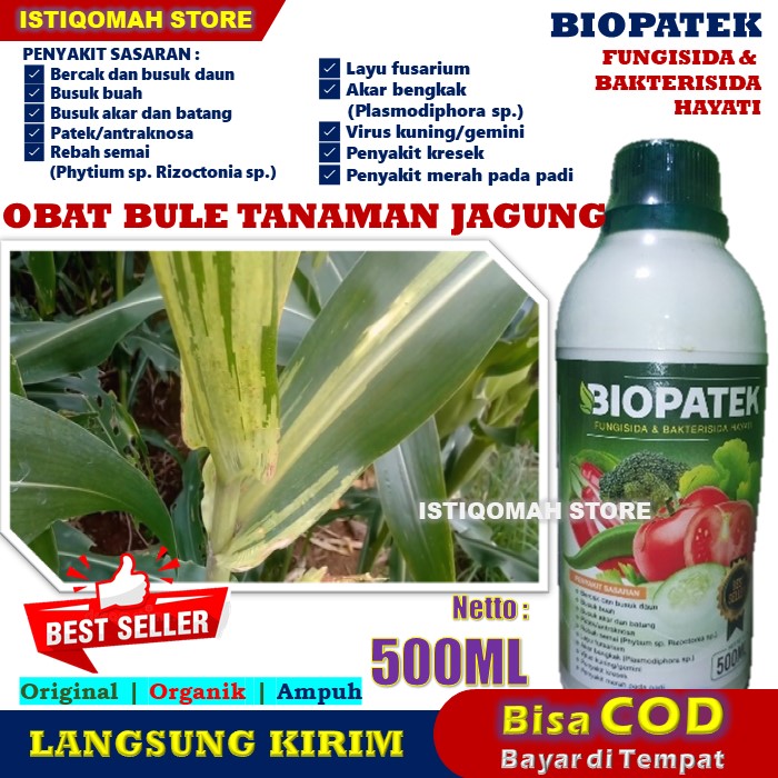 Obat Bule Pada Tanaman Jagung BIOPATEK 500ML Fungisida & Bakterisida ...