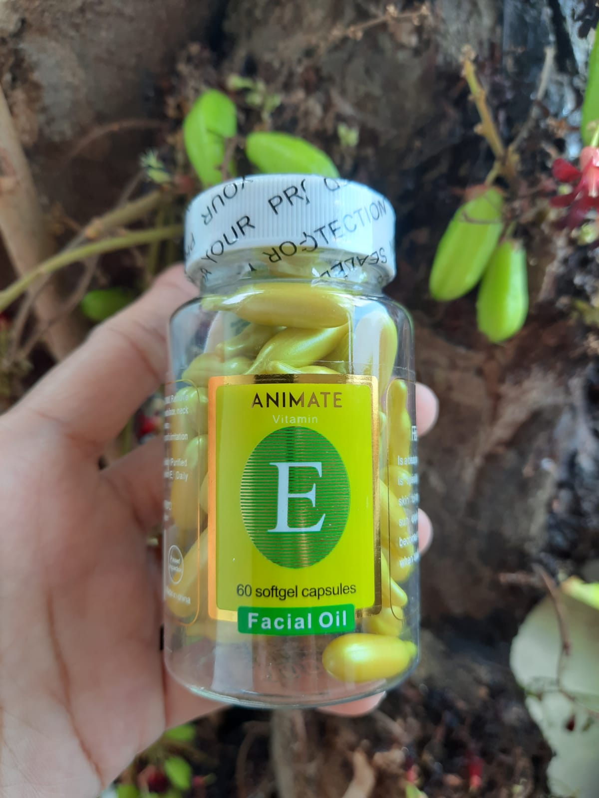 Serum Animate 60 Softgell capsule original 100% | Lazada Indonesia