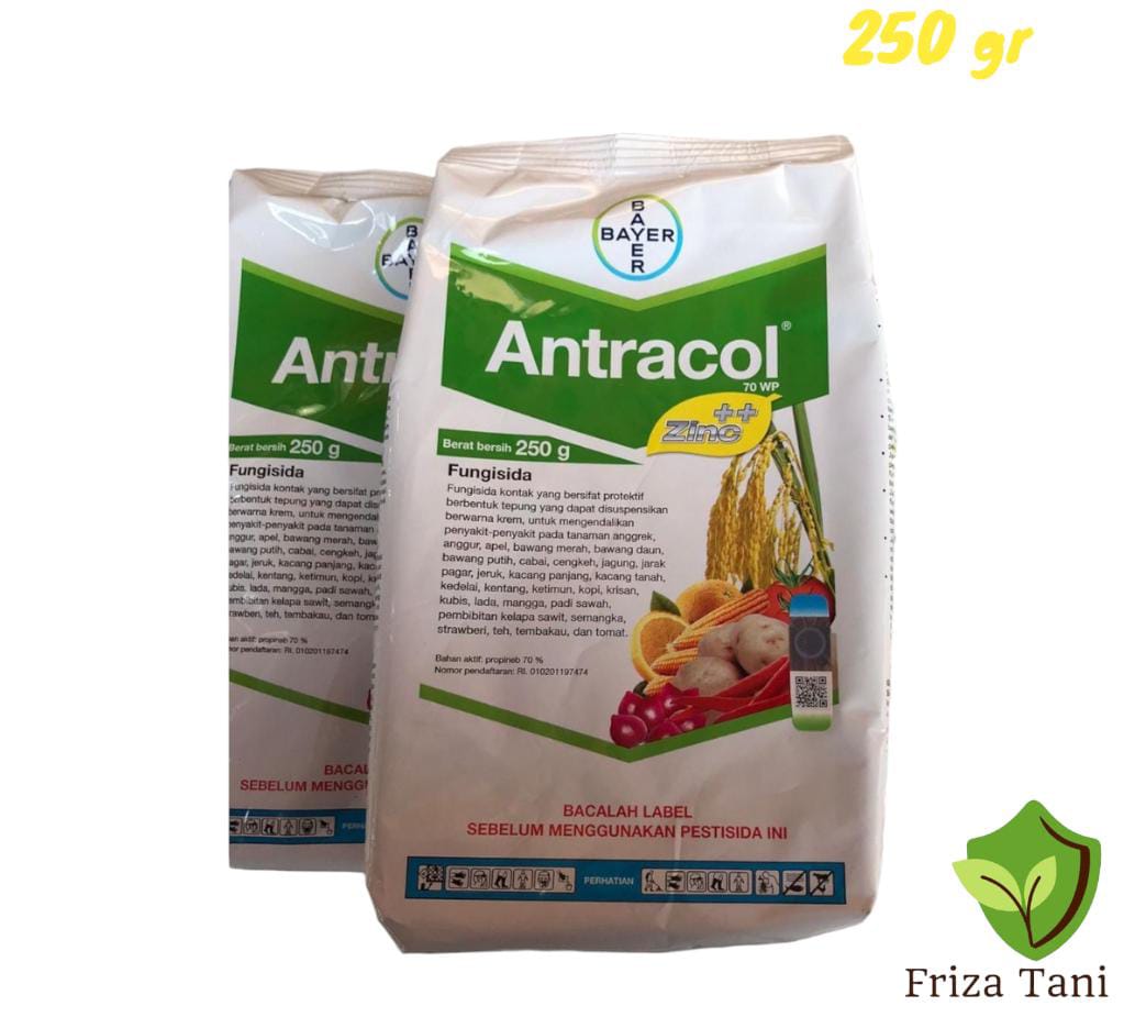 Fungisida Antracol 250gr Obat Anti Jamur Pada Tanaman - Antracol ...