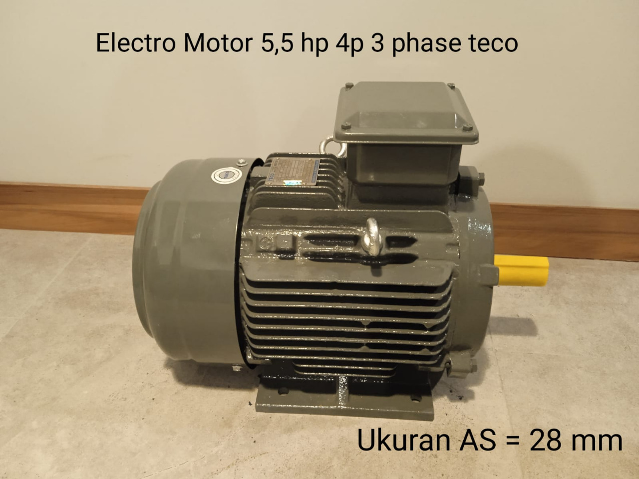 TECO Dinamo Listrik Electric Motor Elektro Motor 5.5HP 4P 3 Phase | Lazada Indonesia