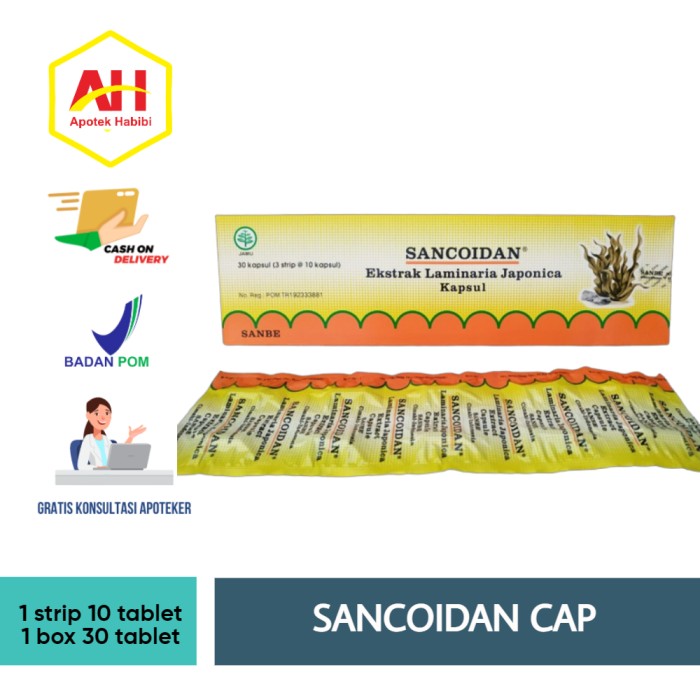 SANCOIDAN SANKOIDAN BOTOL 120 KAPSUL BOX 30 CAPSUL MULTIVITAMIN ...