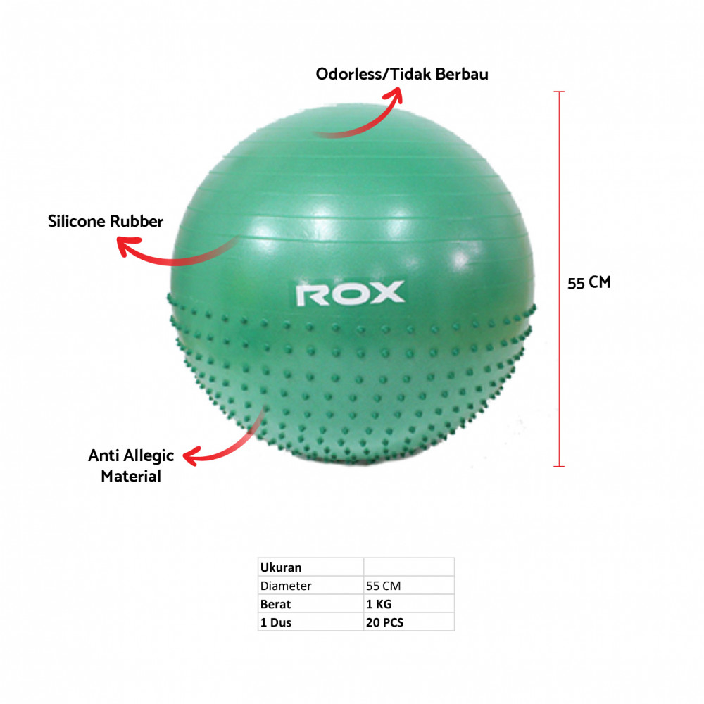 Gym Ball Gymball Bola Fitness Gerigi 55 cm ROX Original | Lazada Indonesia