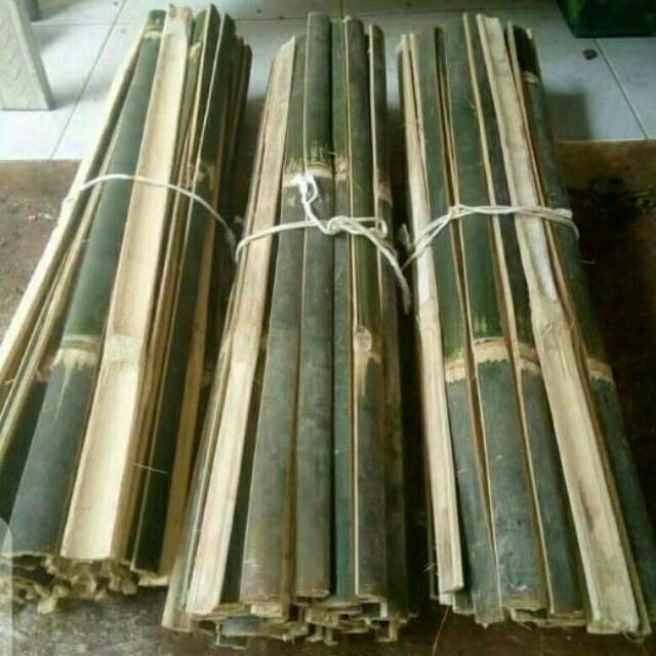 Bambu ajir tanaman 50 cm isi 10 pcs | Lazada Indonesia