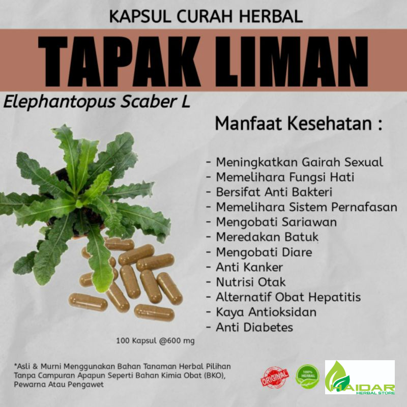 Kapsul TAPAK LIMAN 100 Kapsul Curah Herbal | Meningkatkan Fungsi Hati ...