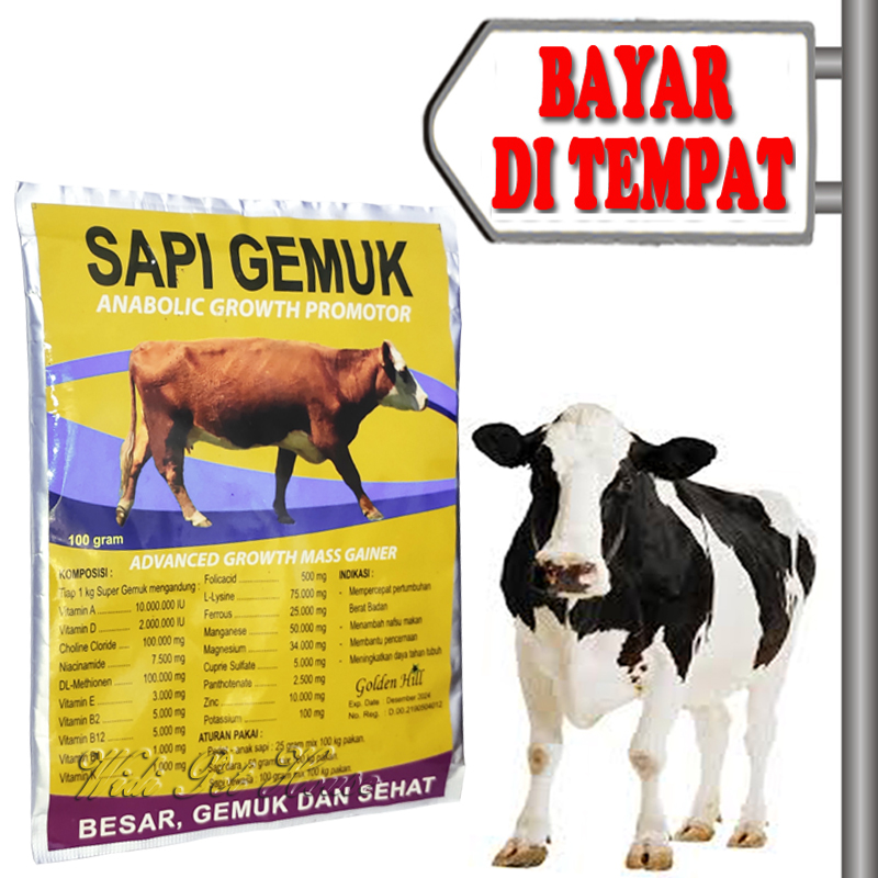 VITAMIN PENGGEMUK BADAN SAPI KURUS SUSAH MAKAN MENGOBATI CACINGAN ...