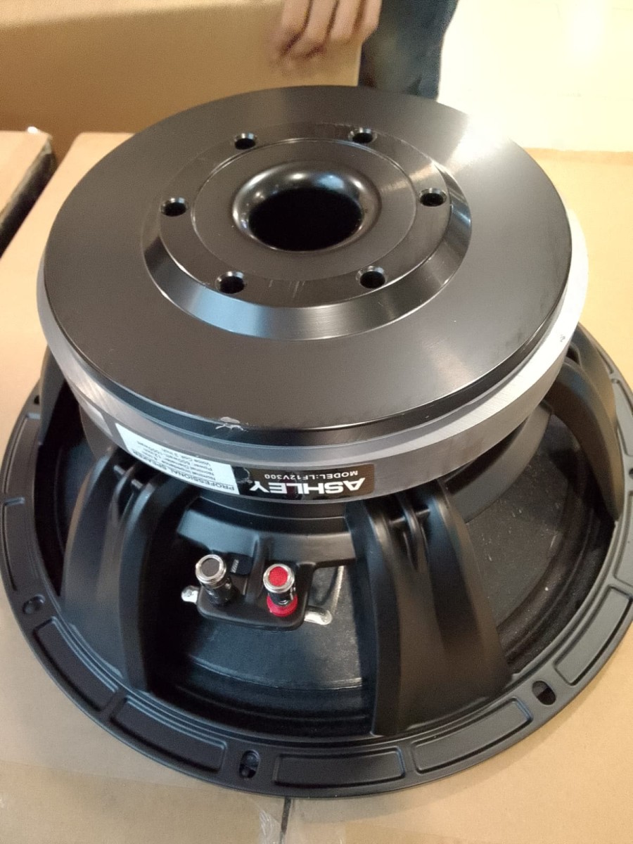 Speaker 12 Inch Ashley LF12V300 Voice Coil 3 Inch | Lazada Indonesia