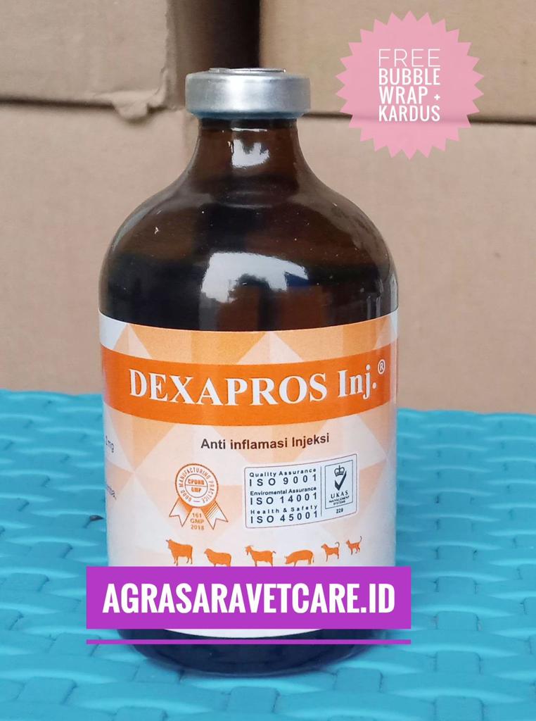 DEXAPROS Inj 100ml - Dexa Obat Anti Inflamasi Hewan Ternak Obat Radang ...