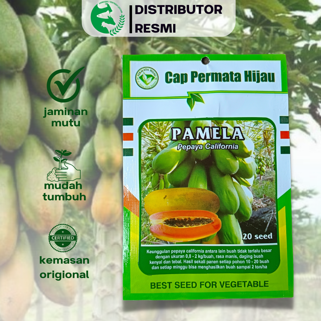 Benih Pepaya California Hibrida PAMELA 20 seed Unggul CAP PERMATA HIJAU ...