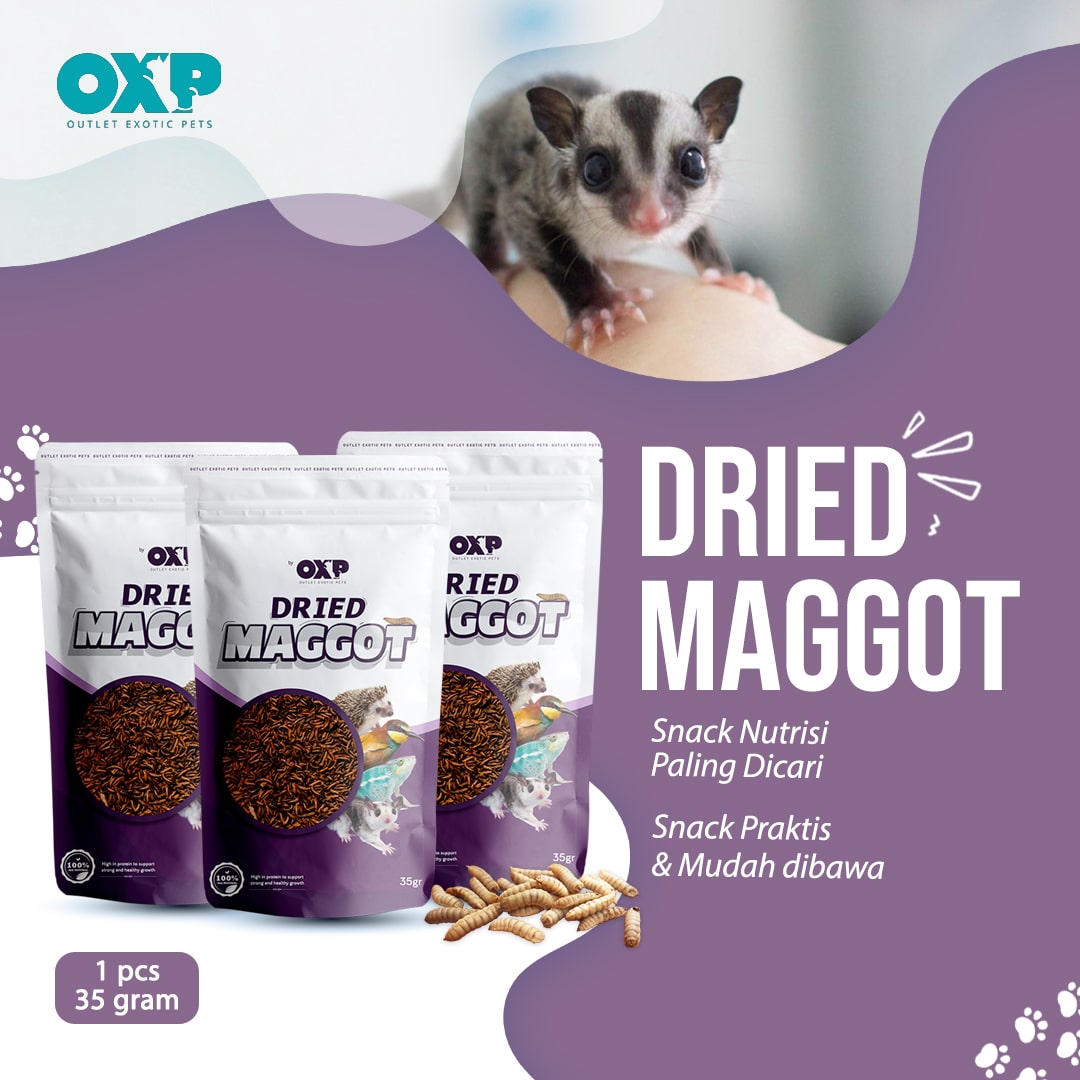 Maggot Kering Snack Hewan Sugar Glider, Landak Mini, Hamster, Arwana ...