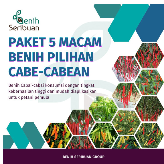 Paket 5 Macam Benih Cabe Cabai Rawit Merah Hijau Putih Keriting ...
