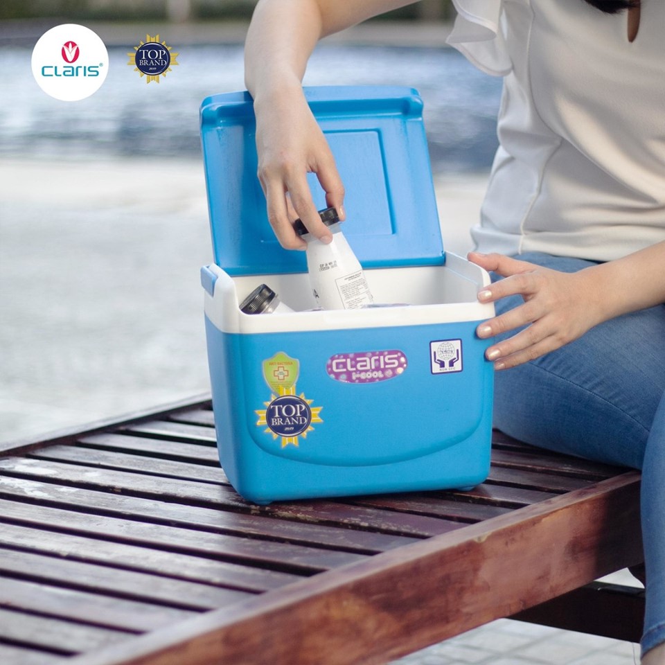 cooler box , tempat es batu 4-5liter es | Lazada Indonesia