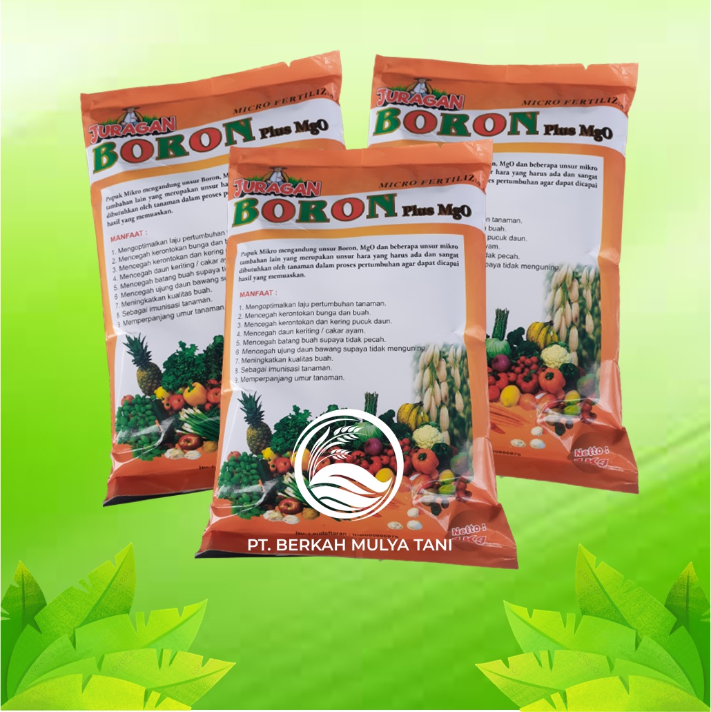 1 Kg Pupuk Juragan Boron Plus MgO Micro Pertilizer Anti Rontok Bunga ...