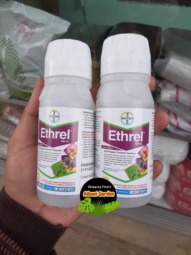 Karbit Cair Obat Pematang Buah Buahan Pisang Mangga Cabe Tomat Apel ...