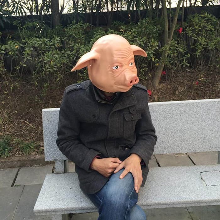 Topeng babi patkai cu pat kai piggy pig full latex halloween | Lazada ...