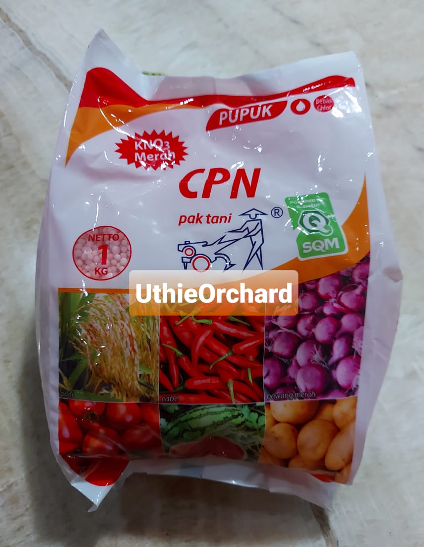 Pak Tani CPN Pupuk Kalium (Potassium) Nitrat KNO3 Merah 1 kg | Lazada Indonesia