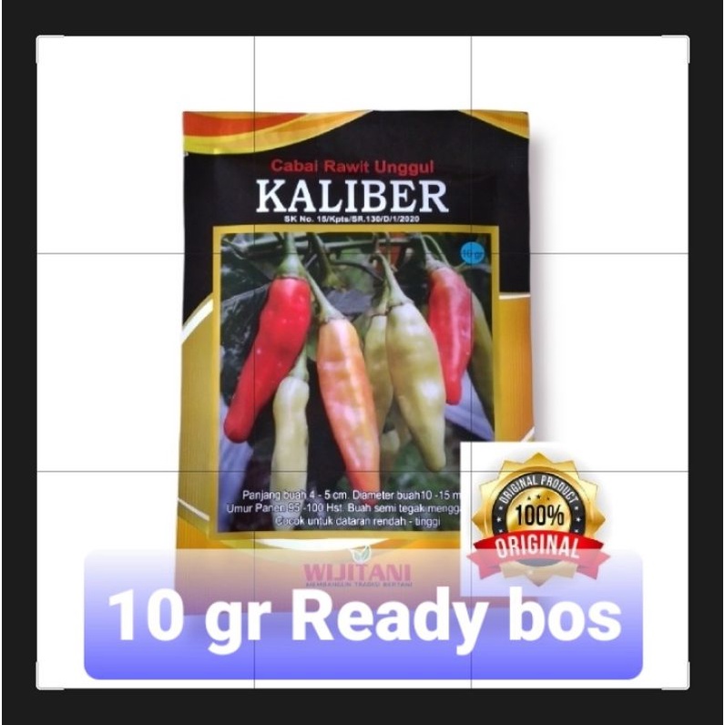 Benih Cabe Rawit Kaliber cabai kaliber 10 Gr | Lazada Indonesia Benih Cabe Rawit Kaliber cabai kaliber 10 Gr | Lazada Indonesia