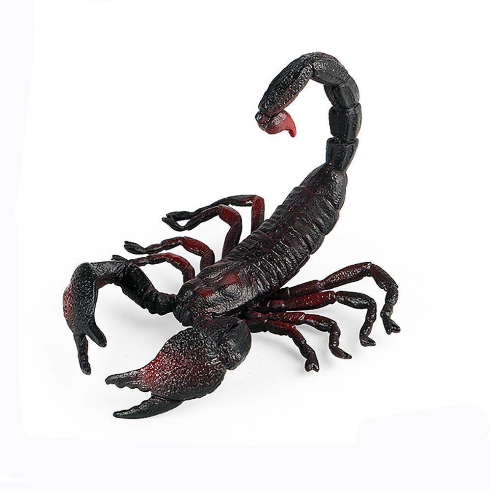 【COD】Realistic Scenes Making Science Nature Educational Toy Insect ...