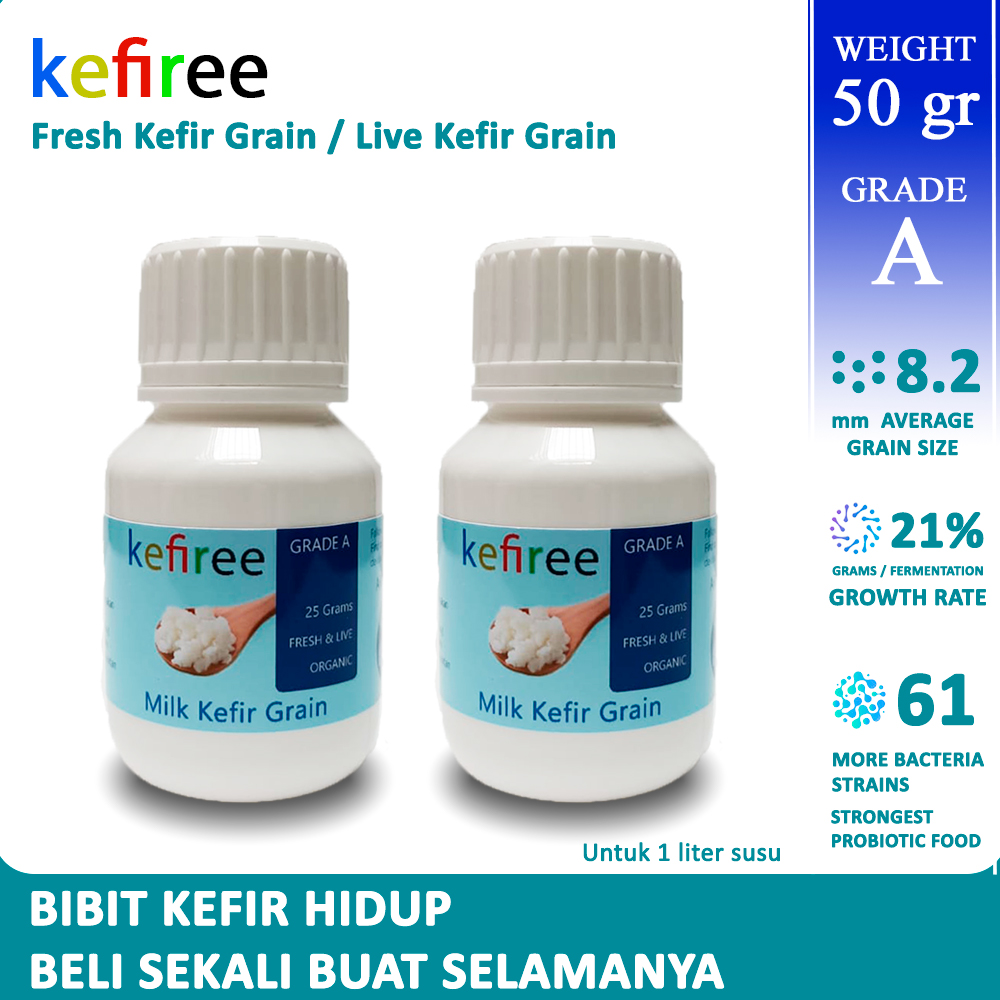 100% BIBIT KEFIR HIDUP/KEFIR GRAIN (FRESH) GRADE A - KEFIREE (50 Gram ...