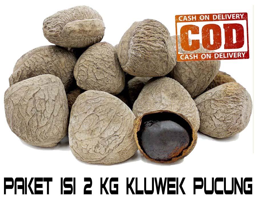 Kluwek Pucung Premium Rempah Indonesia Paket 2 Kg Lazada Indonesia
