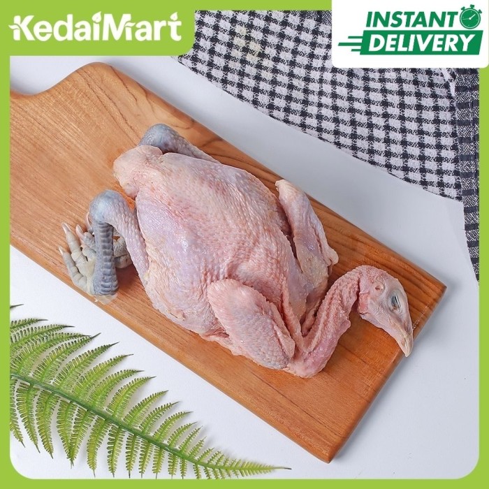 Ayam Kampung Frozen 700 Gram/ Daging Ayam Kampung/ Ayam Potong Frozen ...