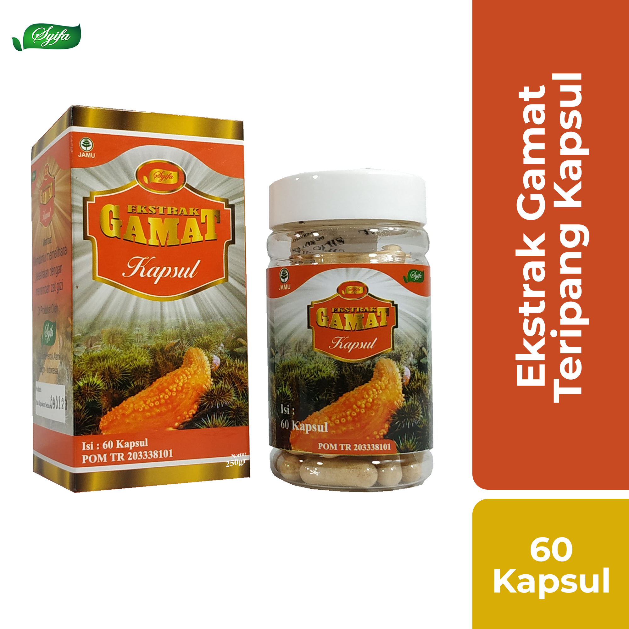 Kapsul Ekstrak - Extract Gamat 60 kapsul - Syifa Herbal Alami | Lazada ...