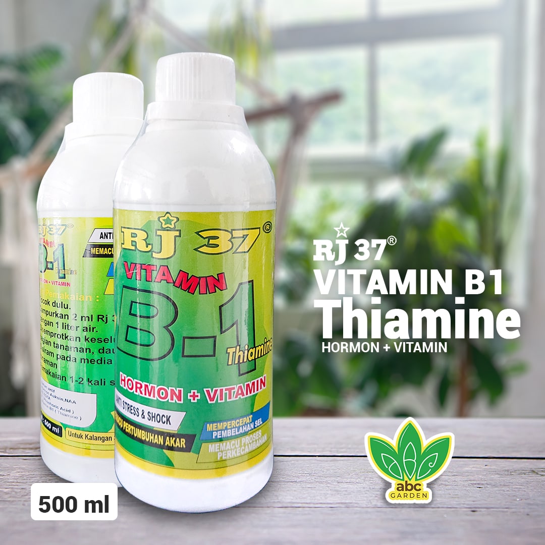 [500ml] Vitamin B1 RJ 37 Hormon Tumbuh Tanaman | Lazada Indonesia