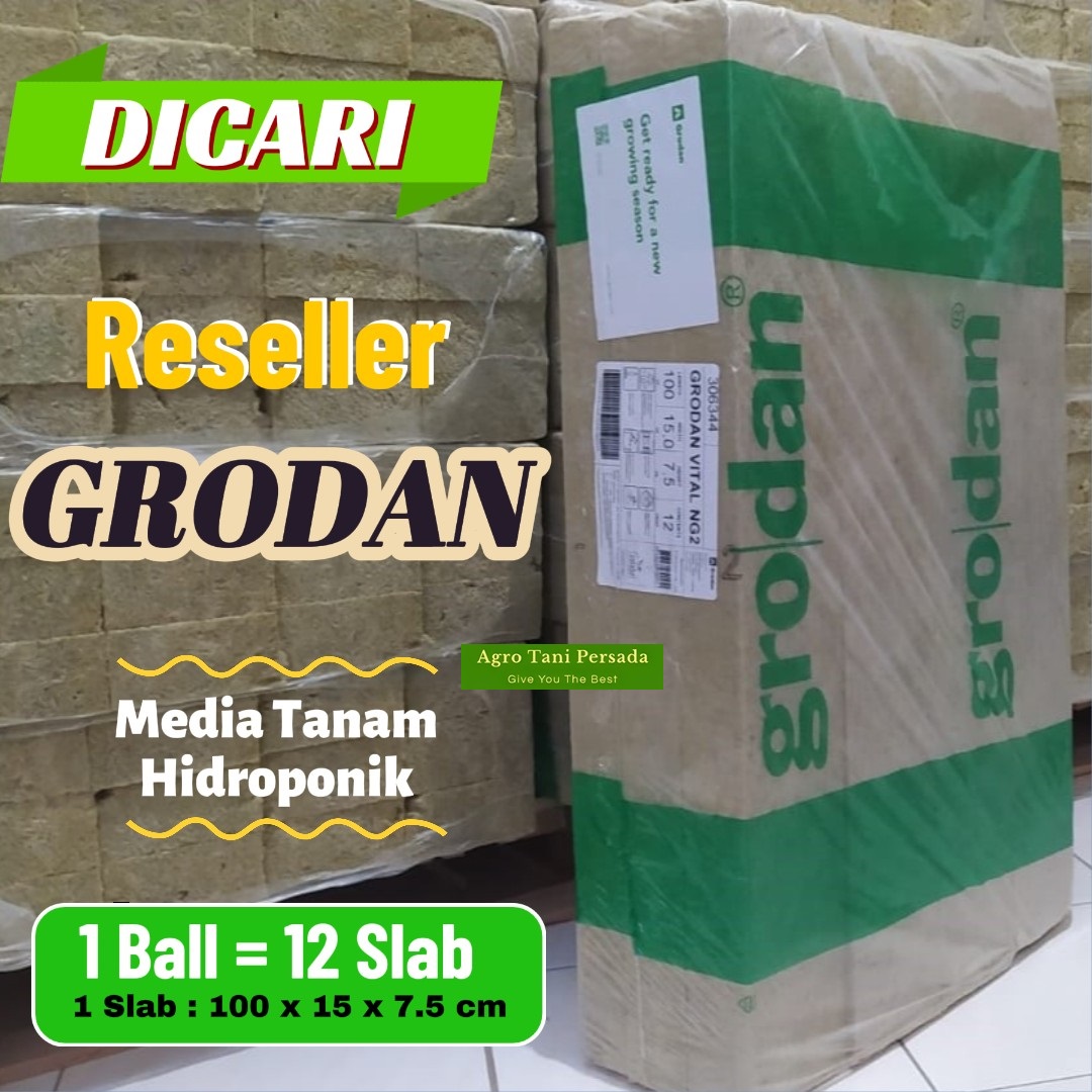 Rockwool Media Tanam Hidroponik Grodan Original 1 Ball Isi 12 Slab | Lazada Indonesia