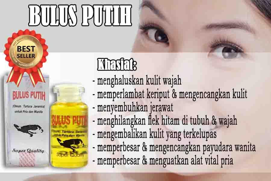 Minyak Bulus Putih Pembesar dan Pengencang Payudara - 1 pc | Lazada ...