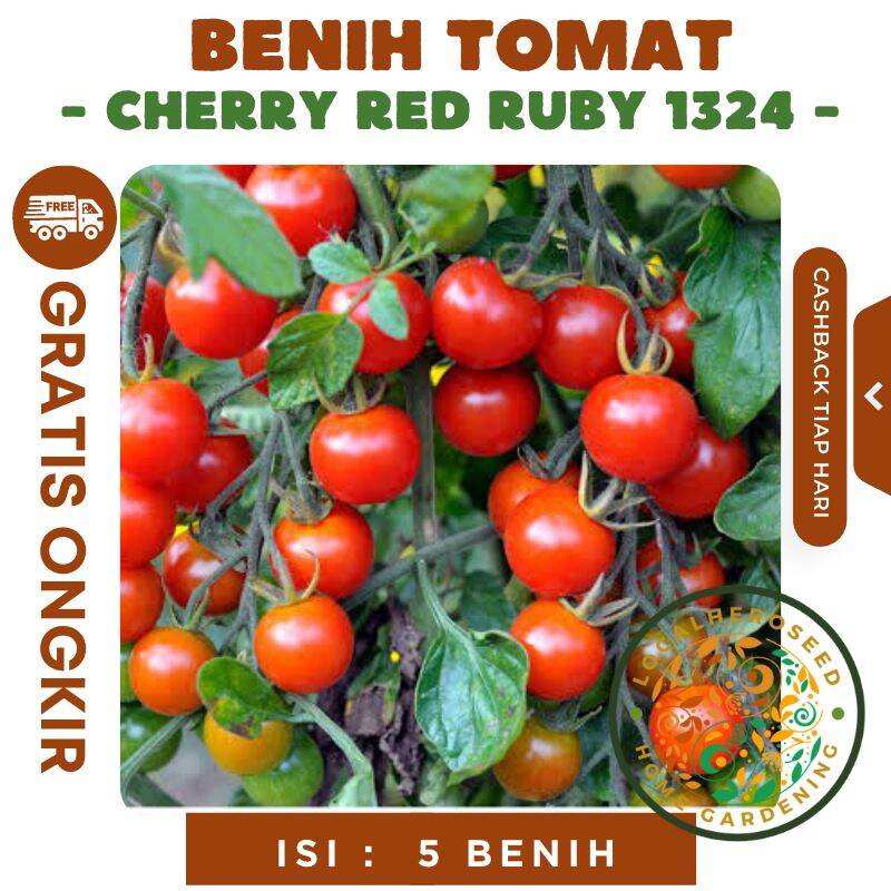 BERKEBUN TERBANYAK Benih Tomat Cherry Merah Kuning Bibit Ceri Known You ...