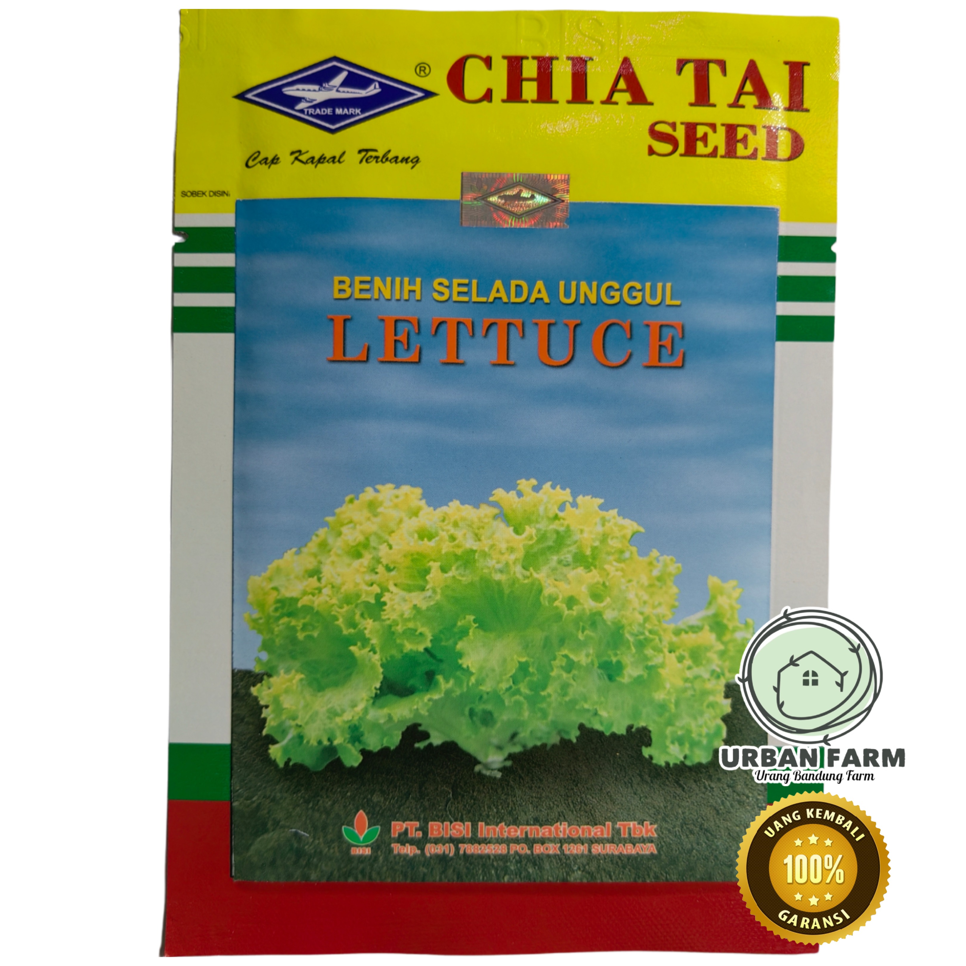 Benih Selada Bokor LETTUCE 15gram - Benih Cap Kapal terbang | Lazada ...