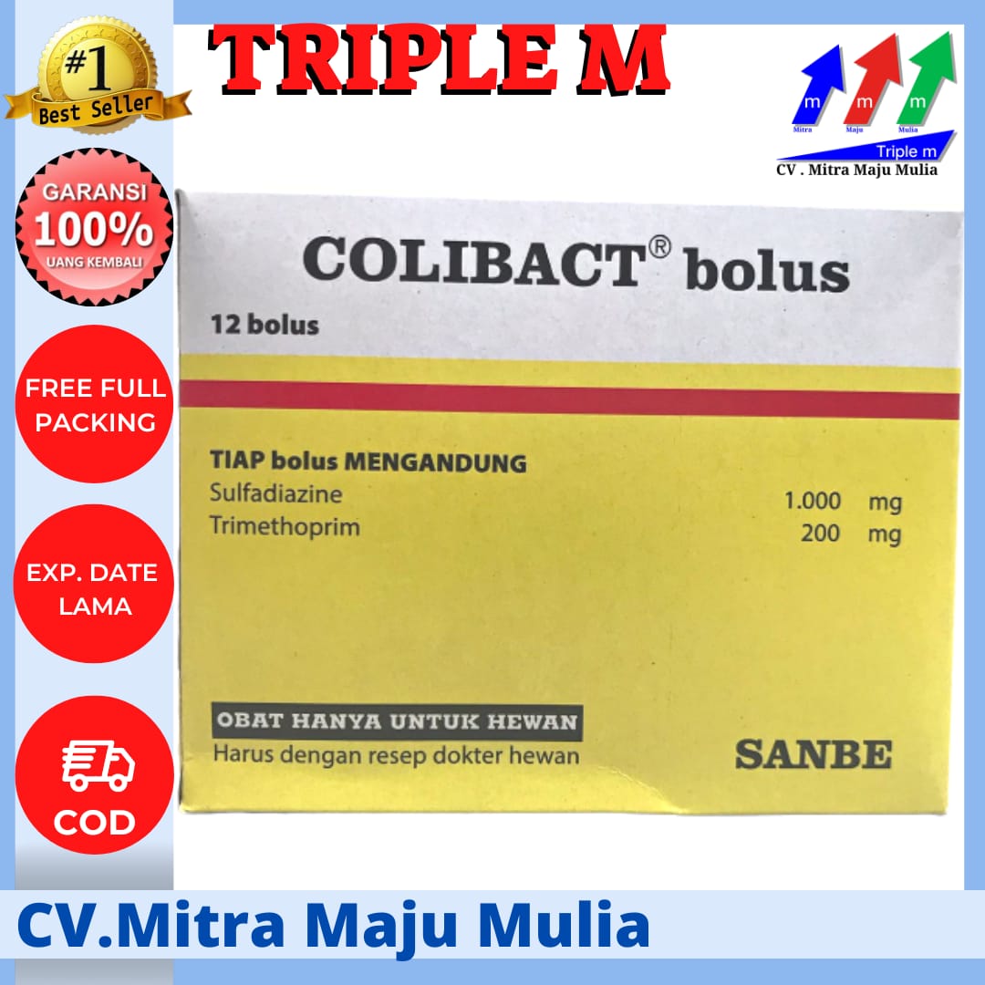 COLIBACT BOLUS 1 BOX ISI 12 TRIPLE M BOLUS SANBE | Lazada Indonesia