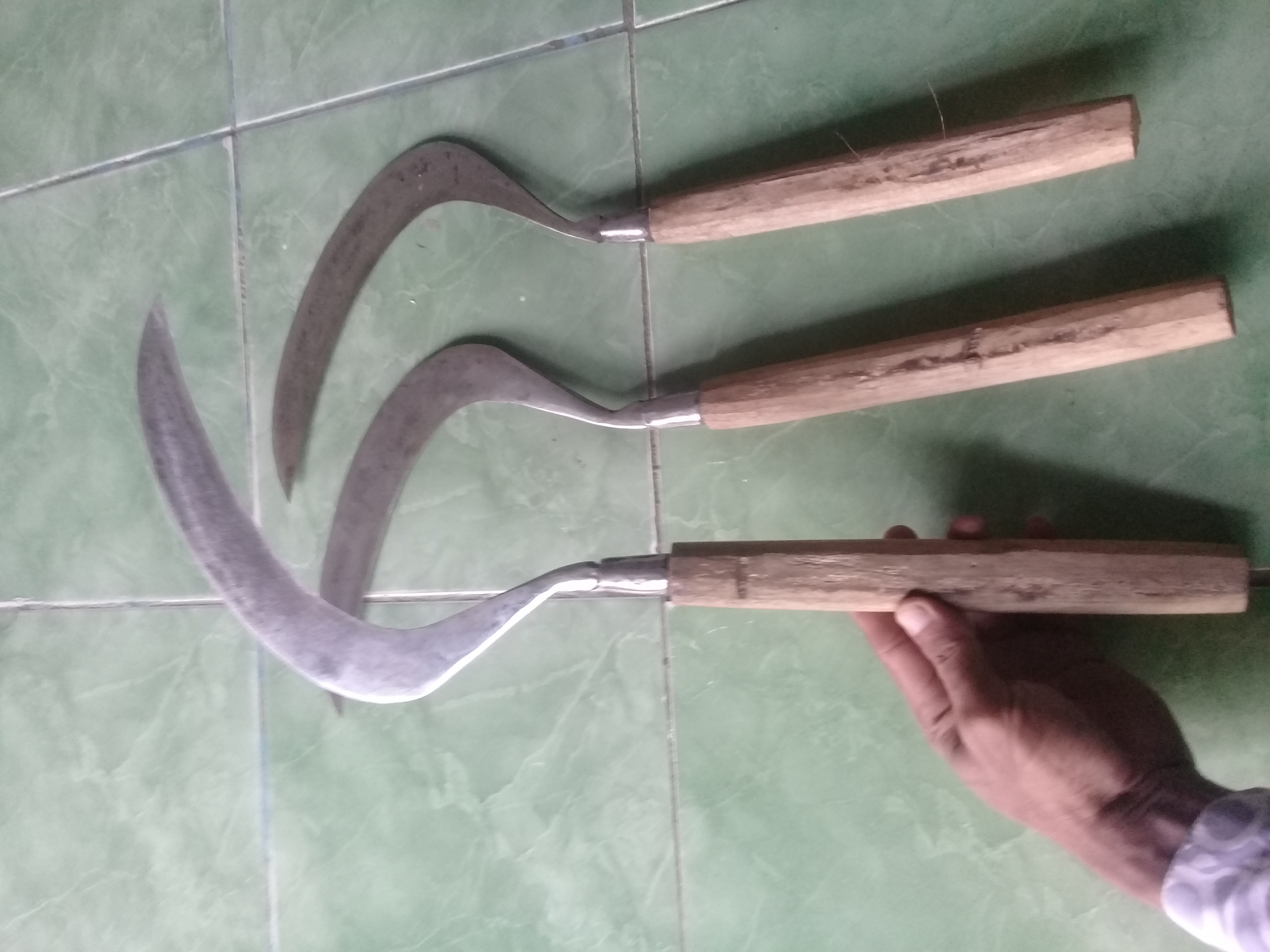 ARIT BAJA PER UKURAN 55 CM / ARIT TAJAM / ALAT PERTANIAN / ALAT ...