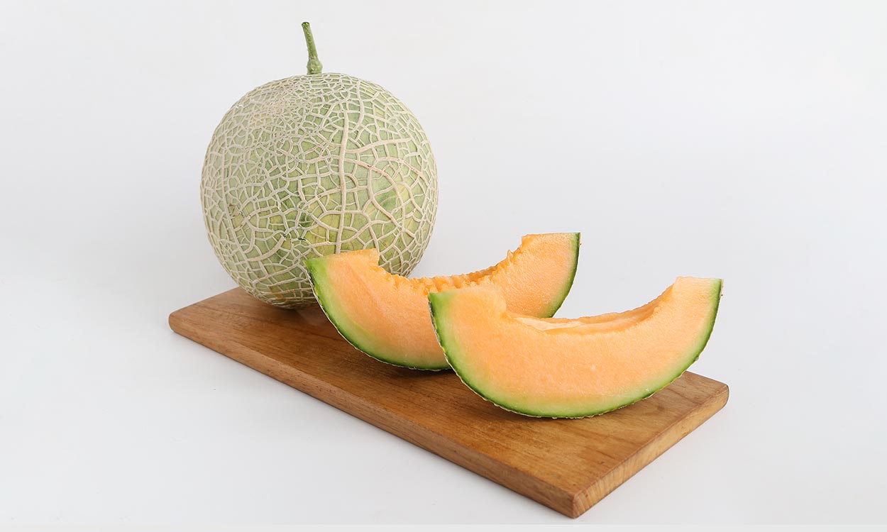 Melon Fujisawa | Lazada Indonesia