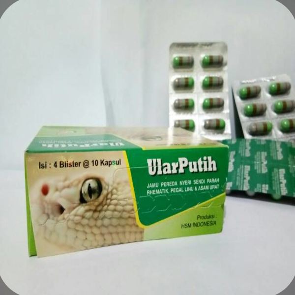 Herbal Kapsul Ular Putih Original Isi 40 Kapsul | Kapsul Ular Putih ...