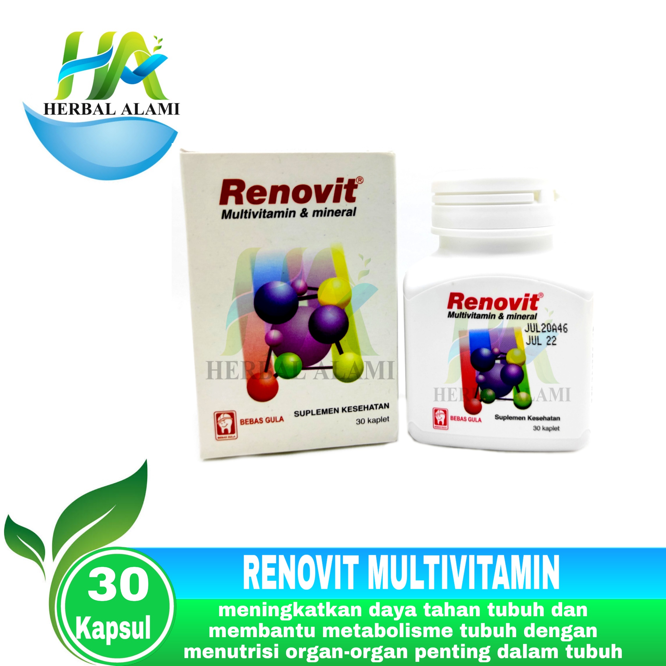Renovit isi 30 Kapsul Multivitamin - BOTOL PUTIH | Lazada Indonesia