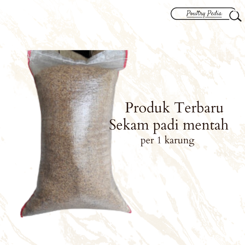 Sekam mentah kulit padi untuk media tanam (per karung beras 25kg ...