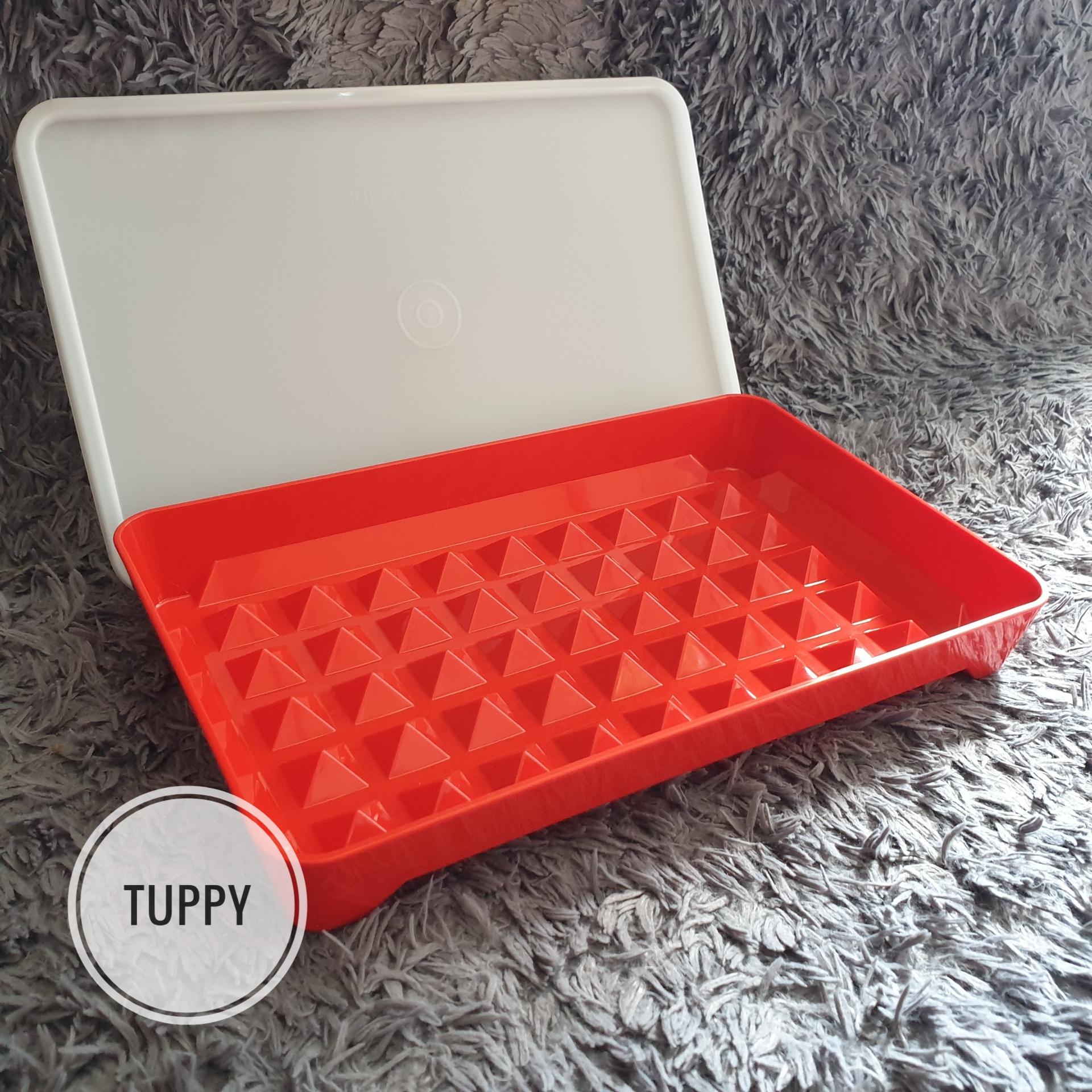 Sausage Keeper Wadah Sosis Tupperware | Lazada Indonesia