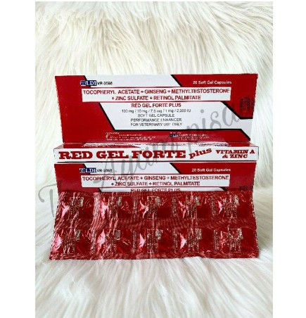 Red Gel Forte Doping kapsul ayam | Lazada Indonesia