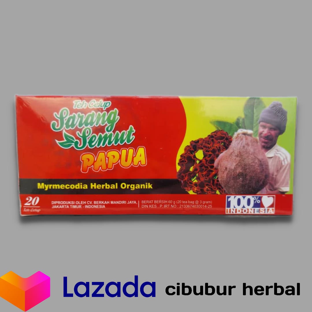 Teh Celup Sarang Semut Papua Herbal Asli Original | Lazada Indonesia