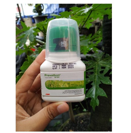 PREVATHON Prevaton 100 ml Insektisida Pestisida Membasmi Ulat Polong ...