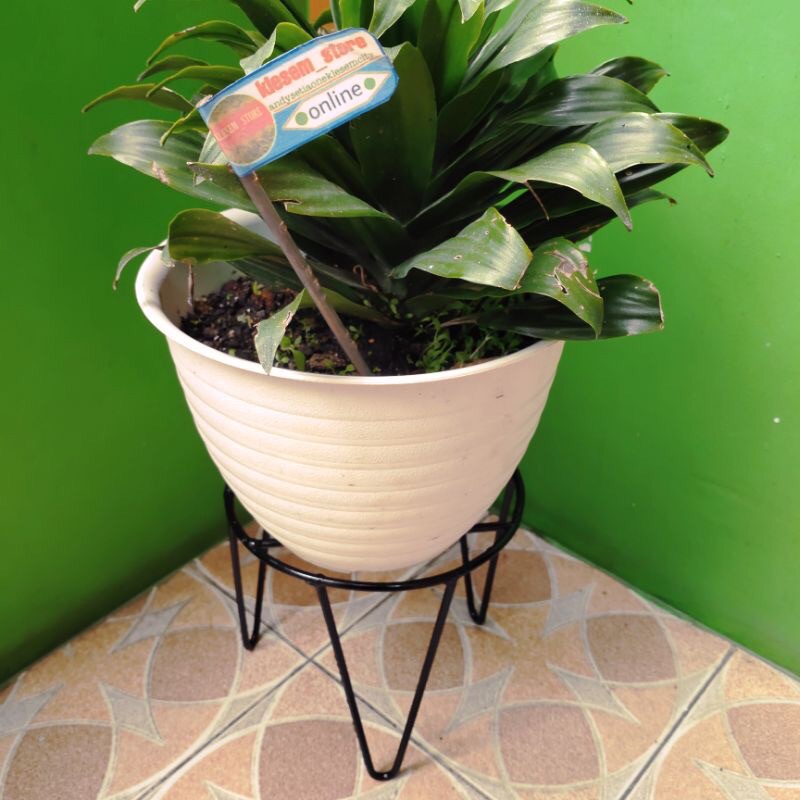 RAK POT BUNGA DARI BESI MURAH MERIAH // STANDING POT MURAH DARI BESI ...